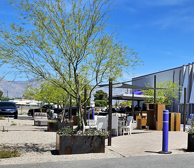 Arizona sunshine illuminates the outdoor furniture section, where patio dreams come true without breaking the bank.
