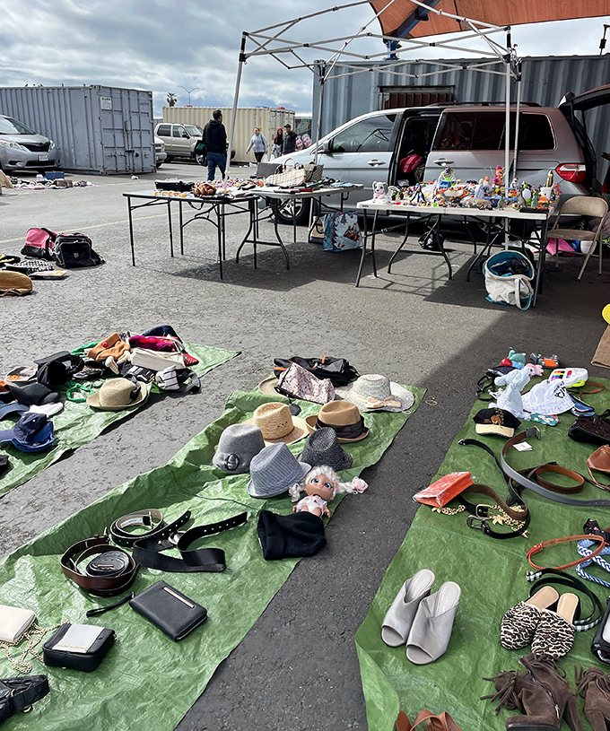 The ultimate garage sale elevated to an art form. Where one person's "I don't need this anymore" becomes another's "I can't believe I found this!"