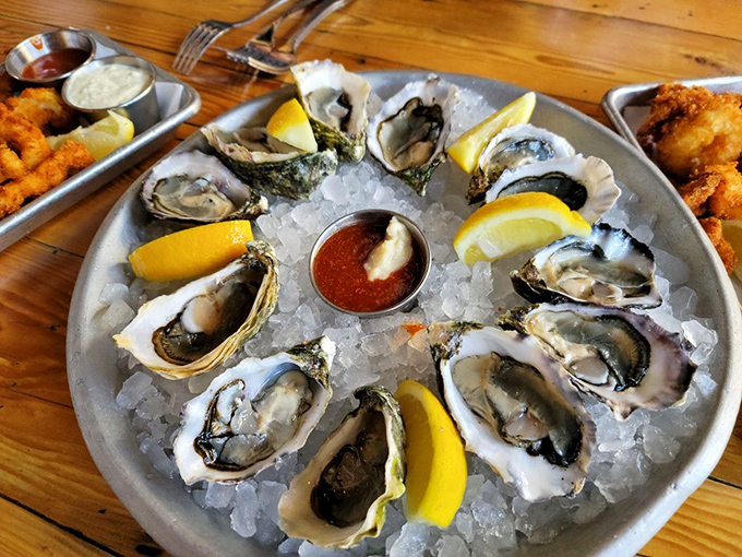 Oysters on ice&mdash;nature's perfect appetizer. Each one a briny little time capsule from the ocean, just waiting for a squeeze of lemon.