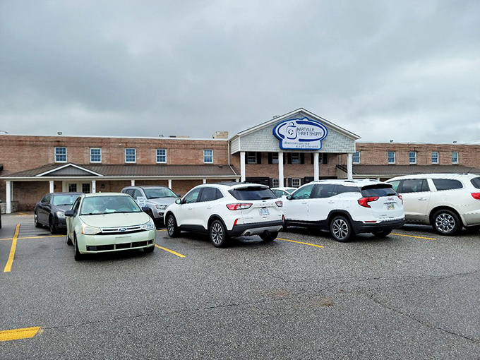 The packed parking lot&mdash;first sign of a successful thrift store. Like bees to honey, savvy shoppers flock to where the bargains bloom.