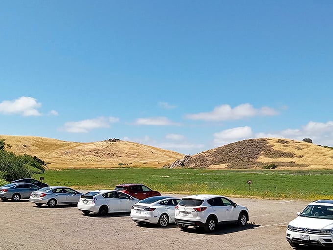 The parking lot&mdash;where adventures begin and air conditioning reluctantly gets turned off on summer days.