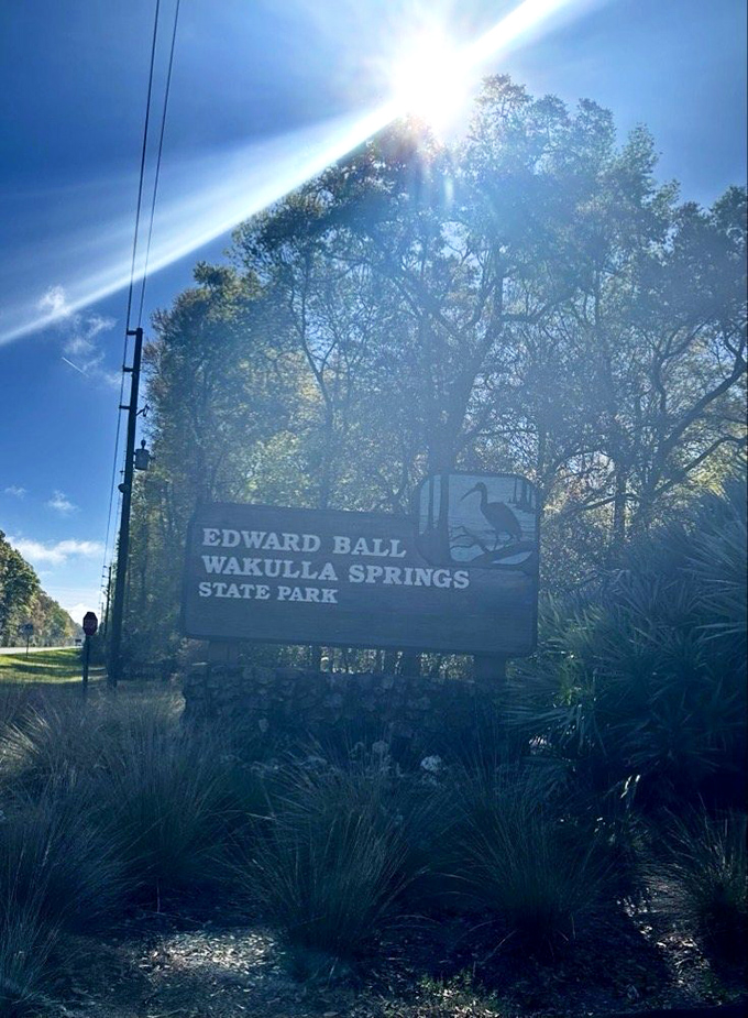 "You are now entering paradise" might as well be written on this sun-drenched entrance sign, welcoming explorers to one of Florida's most pristine natural treasures.