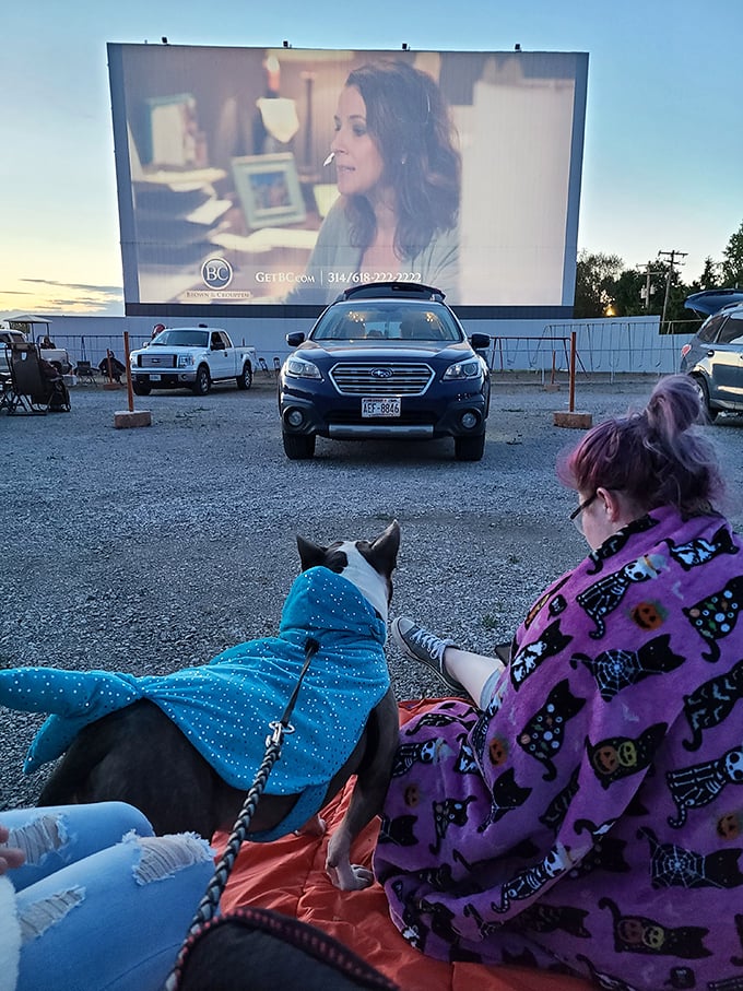 Four-legged film critics welcome! This pup in its stylish blanket has better seating than most humans at conventional theaters.