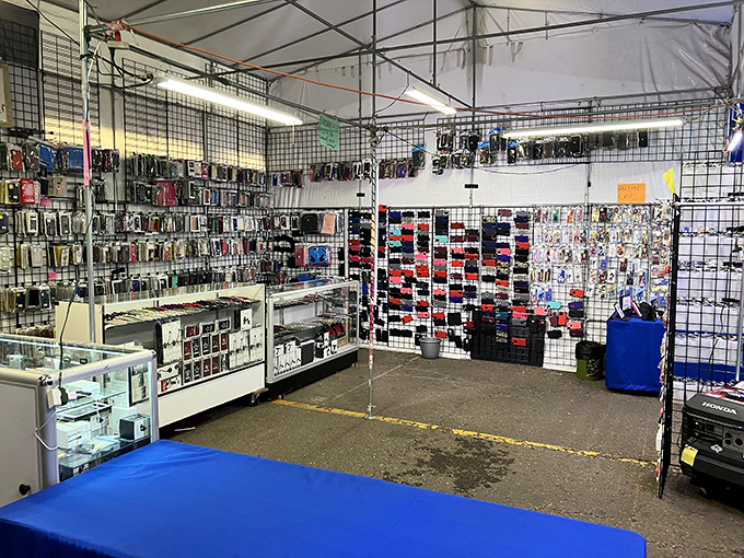 Tech accessories galore! This meticulously organized stall proves that even in the wild west of flea markets, there's room for a little retail professionalism.