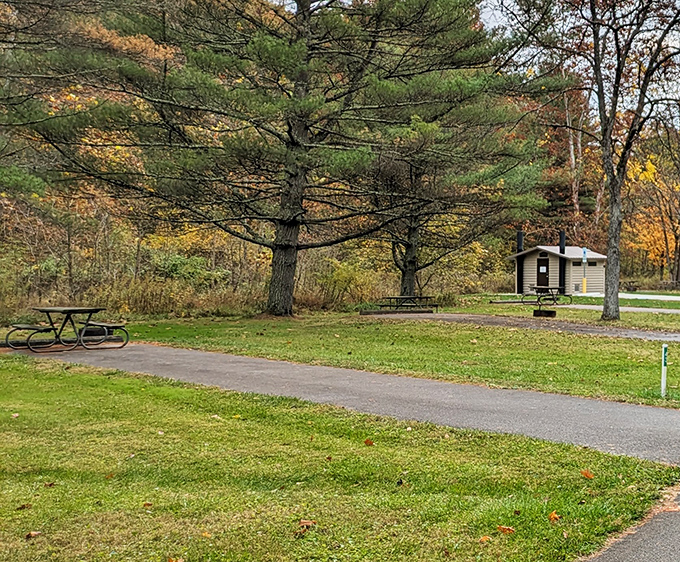 Picnic tables and pine trees&mdash;the original outdoor dining experience that never needs a reservation or dress code.