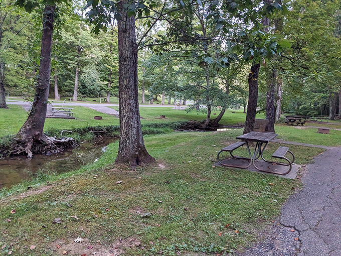 Picnic tables positioned by a gentle stream&mdash;Mother Nature's lunch counter. The service is slow but the ambiance is unbeatable.