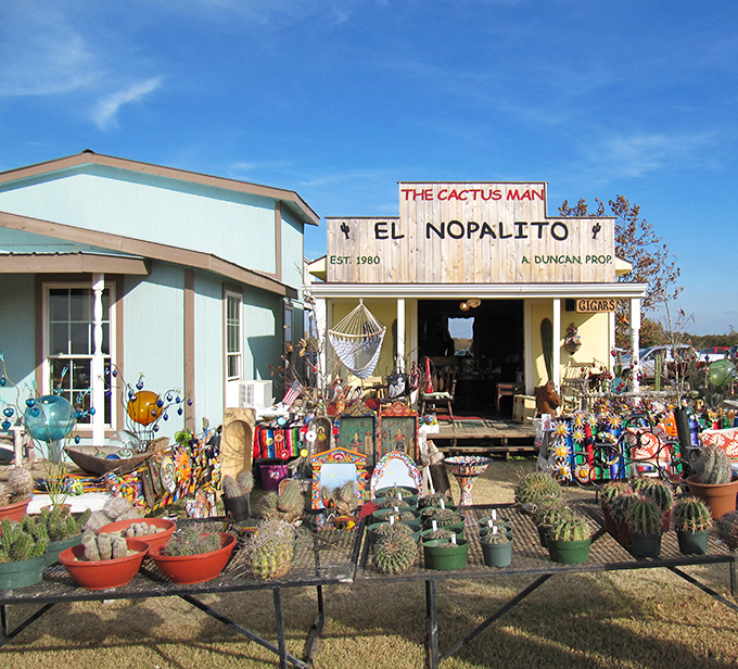 The Cactus Man's domain is a desert oasis of spiny treasures. Even the building has that perfect weathered patina that says "authentic Texas."