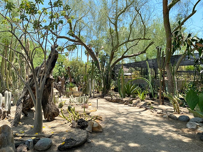 Winding paths lead through a desert wonderland where every turn reveals new textures and forms that seem plucked from a sci-fi film set.