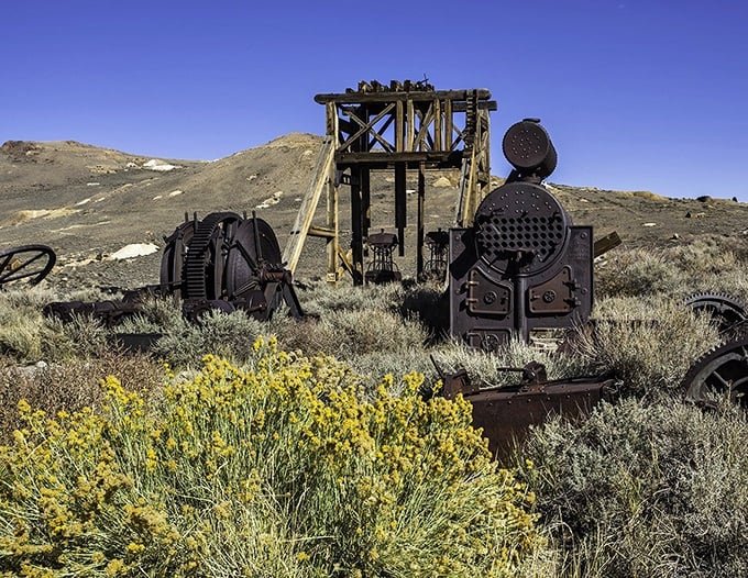 Rusted mining machinery blooms with wildflowers, nature's way of softening the edges of industrial ambition.