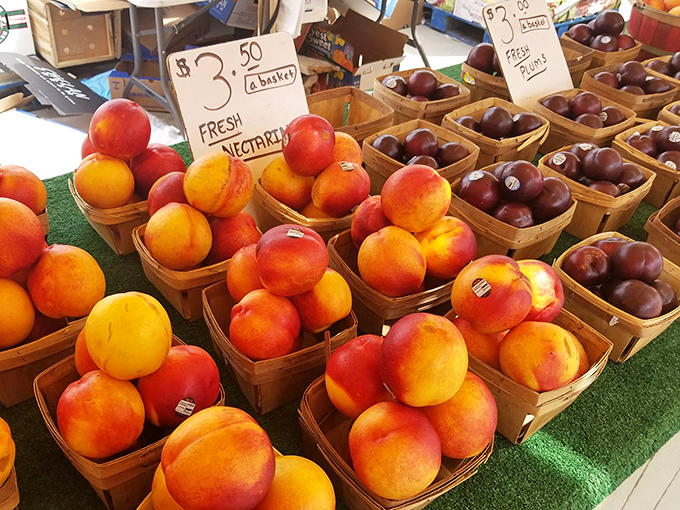 Nature's candy display! These sun-kissed nectarines and plums bring orchard-fresh flavor to shoppers looking for something sweeter than antiques.