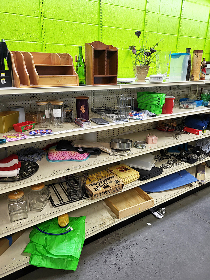 The housewares section: where kitchen gadgets and organizational tools get their second chance at usefulness. That lime green wall adds unexpected pop!