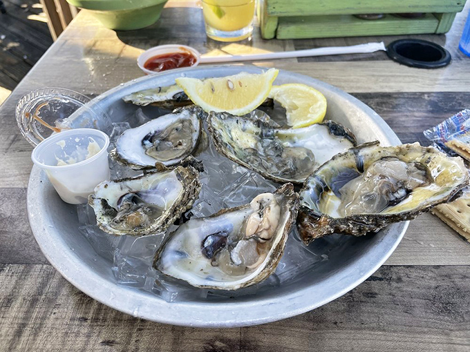 Fresh oysters on ice, looking like they just clocked out from their underwater day jobs.