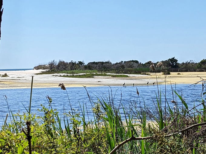 Where land meets water in a delicate dance. The kind of view that makes you whisper conversations, as if normal volume might disturb the perfection.