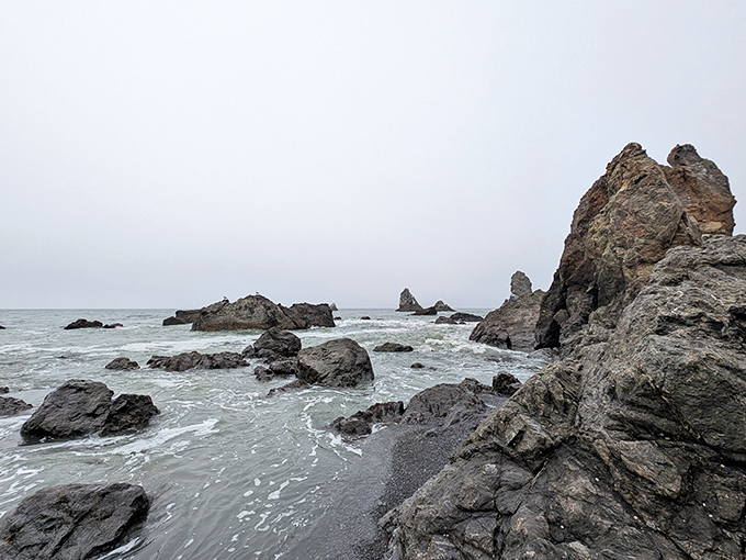 Mother Nature's rock garden puts your neighbor's landscaping to shame. These tide pools host miniature ecosystems more complex than most office politics.
