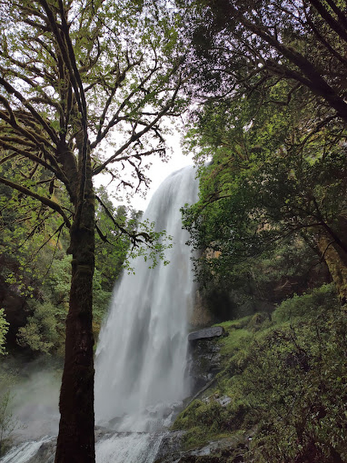 The misty veil creates an ethereal atmosphere that would make even the most jaded photographer reach for their camera.