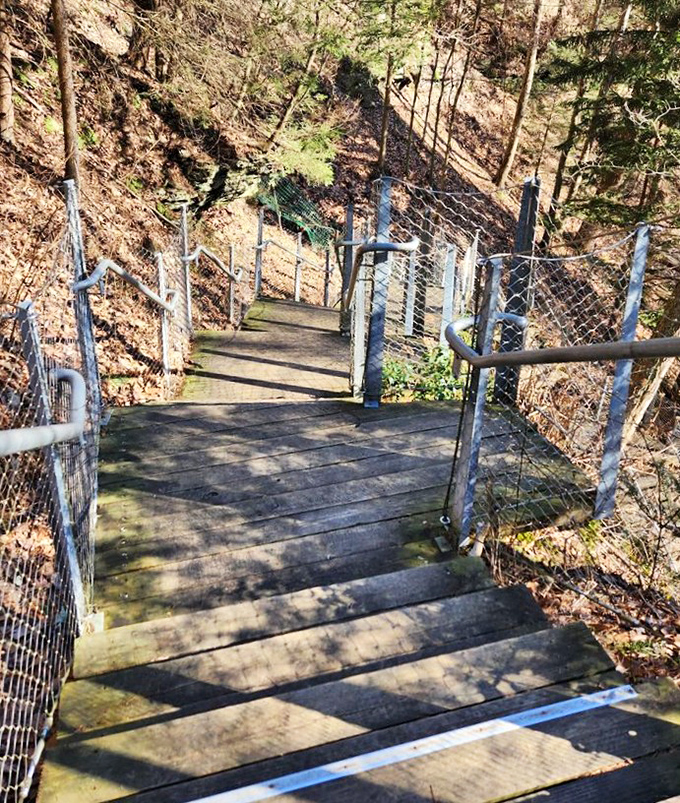 These stairs don't just lead down&mdash;they lead back in time. Each step brings you closer to the primeval experience waiting at the bottom.