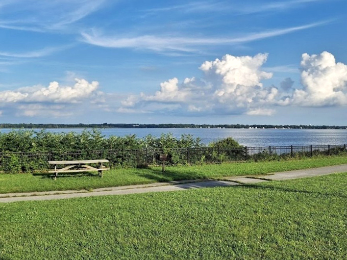 Picnic perfection: where your sandwich comes with a side of spectacular. That bench isn't just furniture&mdash;it's front-row seating to nature's show.