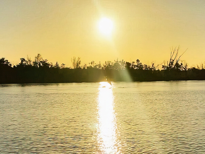 Golden hour magic transforms ordinary water into liquid gold. Keewaydin sunsets perform this alchemy daily, no admission required except the effort to get there.