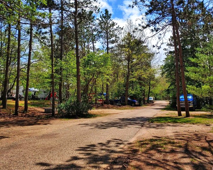 Dappled sunlight creates nature's stained glass along this serene woodland trail, where cell service fades and conversation flourishes.