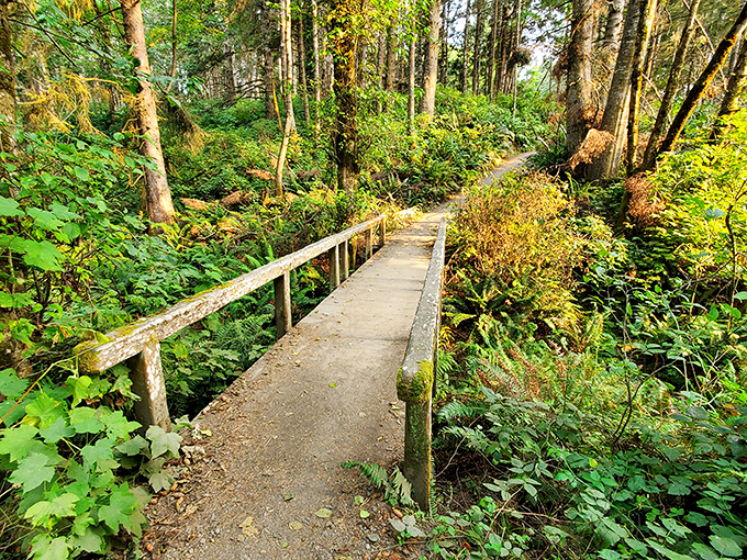 This enchanted forest pathway feels like stepping into a Miyazaki film, with every turn promising new wonders ahead.