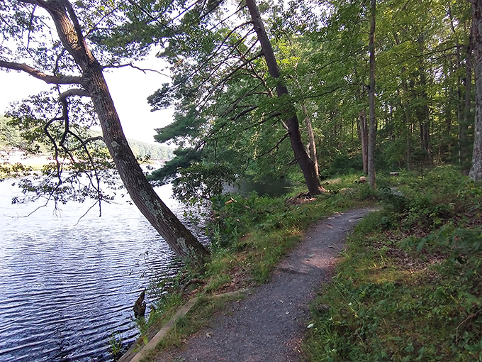 The lakeside trail whispers promises of adventure, where every bend might reveal a postcard-worthy view or at least justify that second breakfast.
