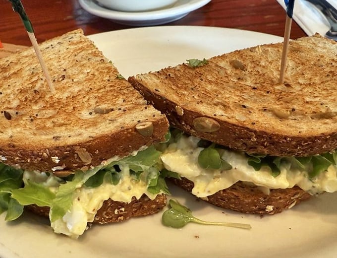 Sometimes the simplest pleasures shine brightest - this tuna sandwich proves that classic combinations never go out of style.