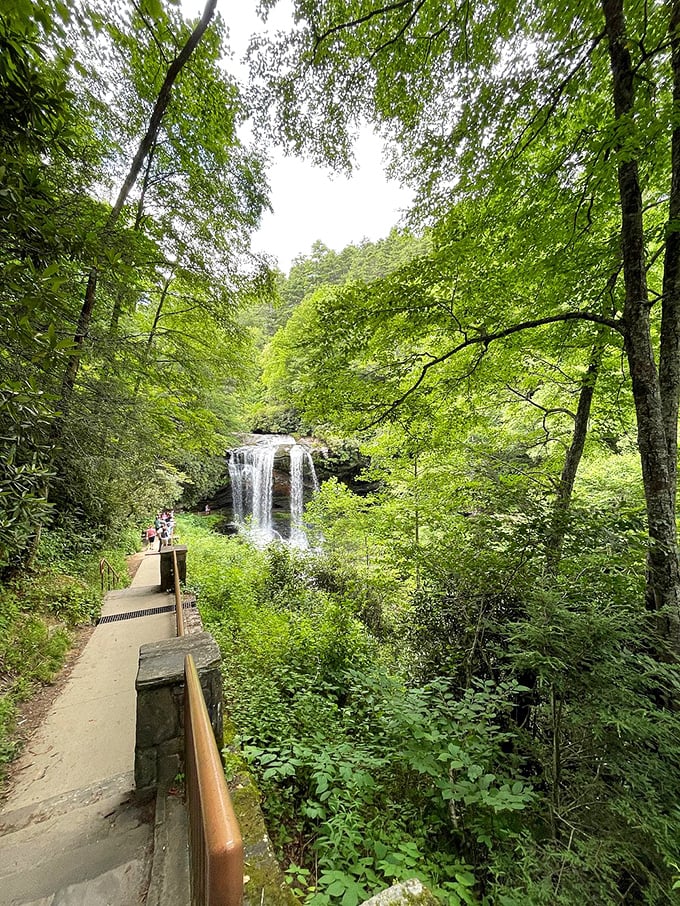 Winter's icy embrace transforms the cascade into nature's own frozen sculpture garden - breathtaking doesn't cover it.