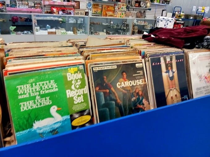 Vinyl enthusiasts, prepare to dig! These record bins hold forgotten classics and quirky finds that could fill your Saturday afternoons with nostalgic listening sessions.