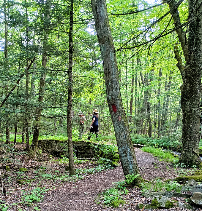 Trails that whisper stories through ancient trees. Follow the path less traveled and discover why hiking boots were the best investment since sliced bread.