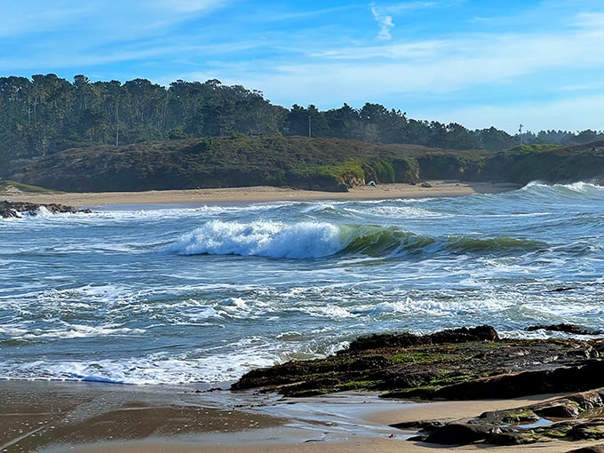 The Pacific shows off its emerald personality, with waves that seem to be auditioning for a starring role in a surf documentary.