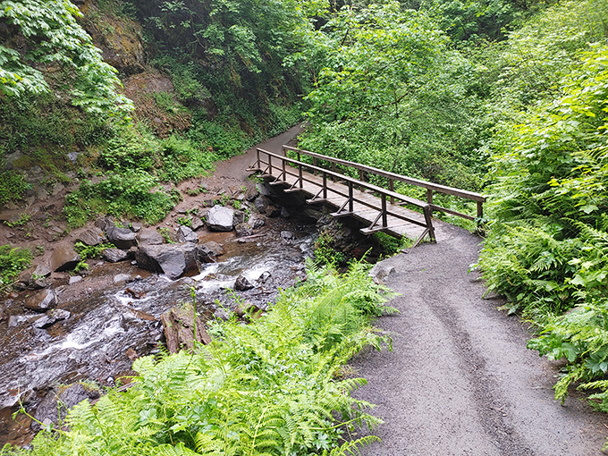 Nature's perfect crossing: This humble footbridge might not be the Golden Gate, but it offers something San Francisco can't&mdash;tranquility and the music of rushing water.lls