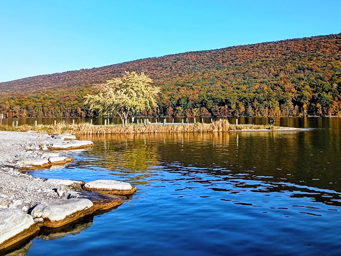Bald Eagle State Park offers that rare combination &ndash; lush green grass leading to refreshing blue waters with mountain views.