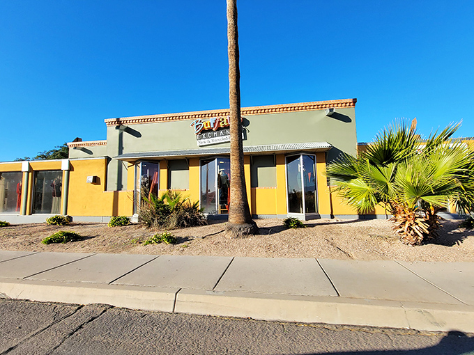Buffalo Exchange: where desert meets discount in a colorful Tucson storefront. The palm trees outside are as cool as the finds inside.