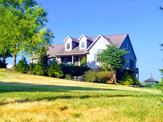 The farm just begs for morning coffee and bird-watching marathons. Better entertainment than anything on your streaming services.