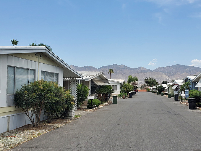 Desert valley charm meets mountain majesty in Hemet where every sunset paints a masterpiece backdrop.