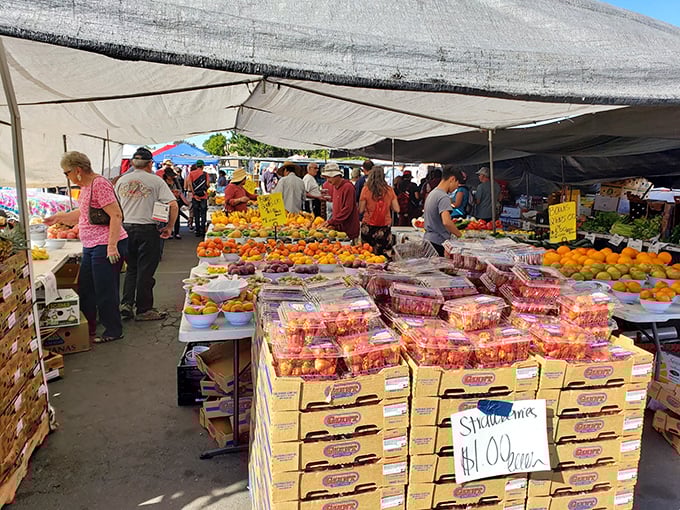 Produce so fresh it practically introduces itself! Kobey's fruit stands make grocery store offerings look like they're from the Paleolithic era.