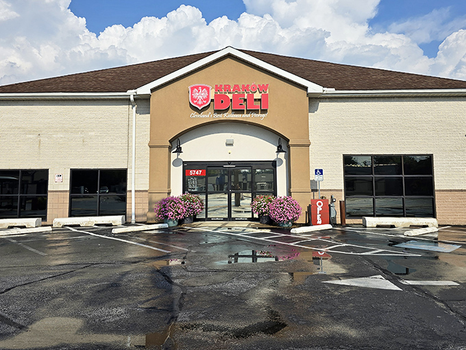 Krakow Deli's modern storefront houses old-world recipes that have survived generations and an ocean crossing.