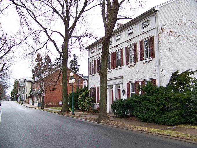 Winter's canvas! Lewisburg's stately homes and bare trees create a scene so perfectly Pennsylvania it could be on the state's holiday card.