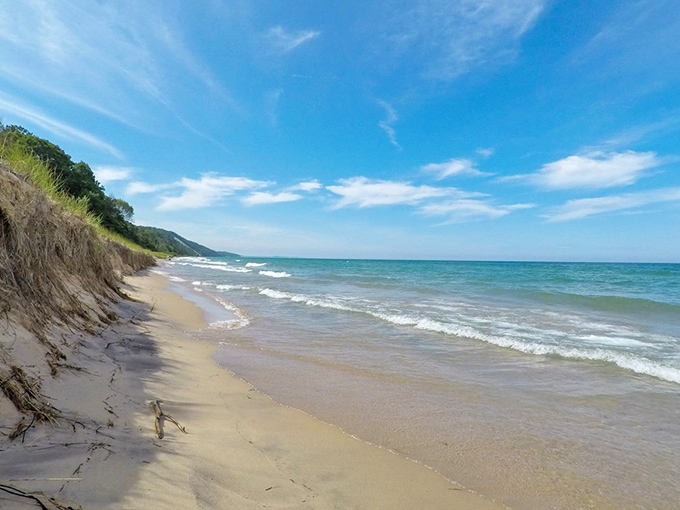 Manistee: Where forest meets freshwater in a symphony of blues and greens. Even the seagulls are posting this view on Instagram.
