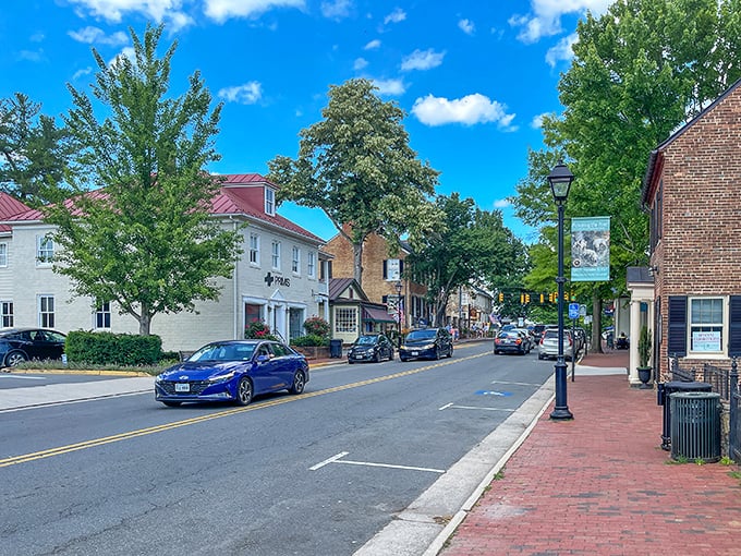 Middleburg's charming main street, where even the trees seem to wave at a more leisurely pace.