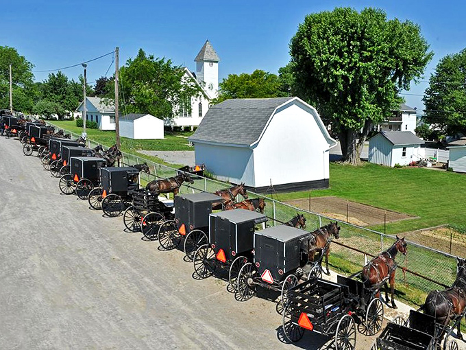Mount Hope: where horses get premium parking spots and nobody complains about the "facilities" they leave behind. 