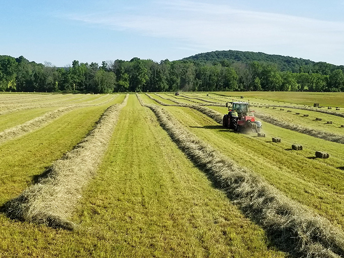 Freshly cut hay fields stretch in perfect rows - nature's own version of organized satisfaction therapy.