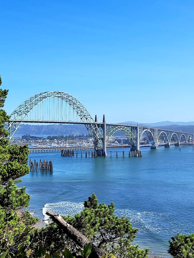 That iconic bridge has starred in more tourist photos than most Hollywood celebrities. Engineering meets art deco beauty.