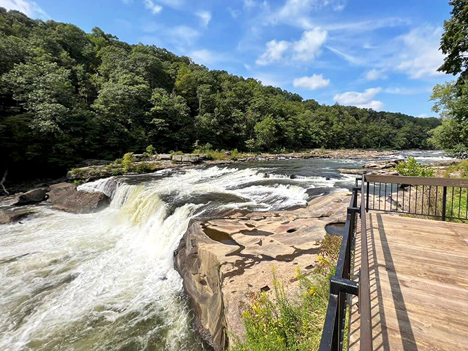 Ohiopyle's rushing waters create nature's perfect soundtrack. The viewing platform puts you right in the splash zone of this magnificent force!