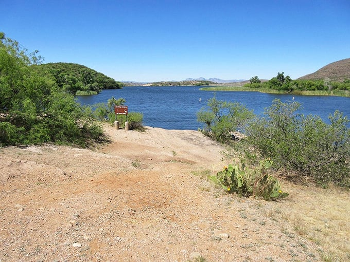 Patagonia-Sonoita's hidden water treasures appear like mirages, except these blue oases are gloriously real.