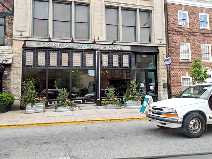 Rockfish Public House's classic storefront brings urban sophistication to historic downtown York &ndash; seafood with a side of style.