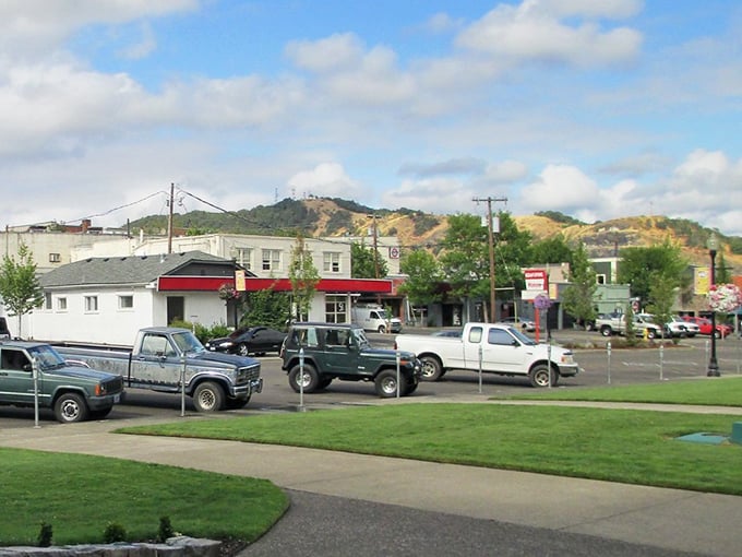 Roseburg's tree-lined downtown offers small-city convenience without big-city price tags.