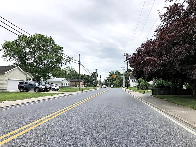 Selbyville's tree-lined residential streets offer peaceful living just minutes from the town's walkable center.
