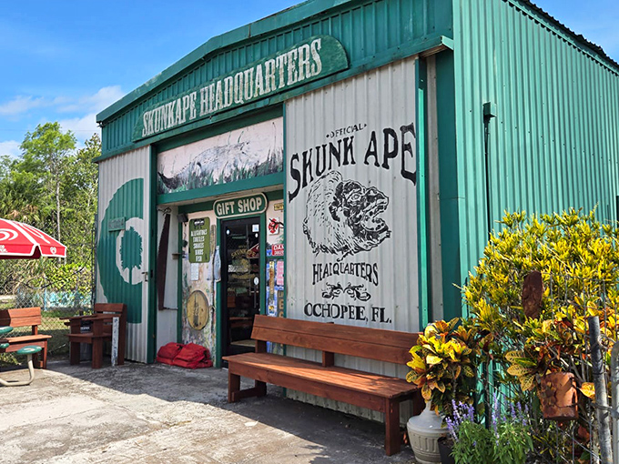 The Skunk Ape Headquarters looks exactly like what you'd expect for Florida's version of Bigfoot central.