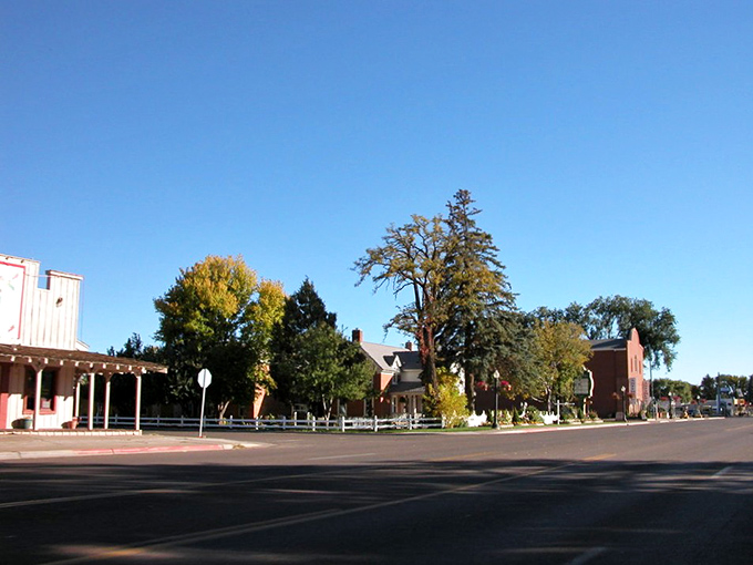 Fall in Snowflake brings a color palette that would make New England jealous&mdash;without the property tax sticker shock!